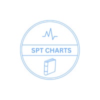 PT Stroke Evaluation Template - Etsy