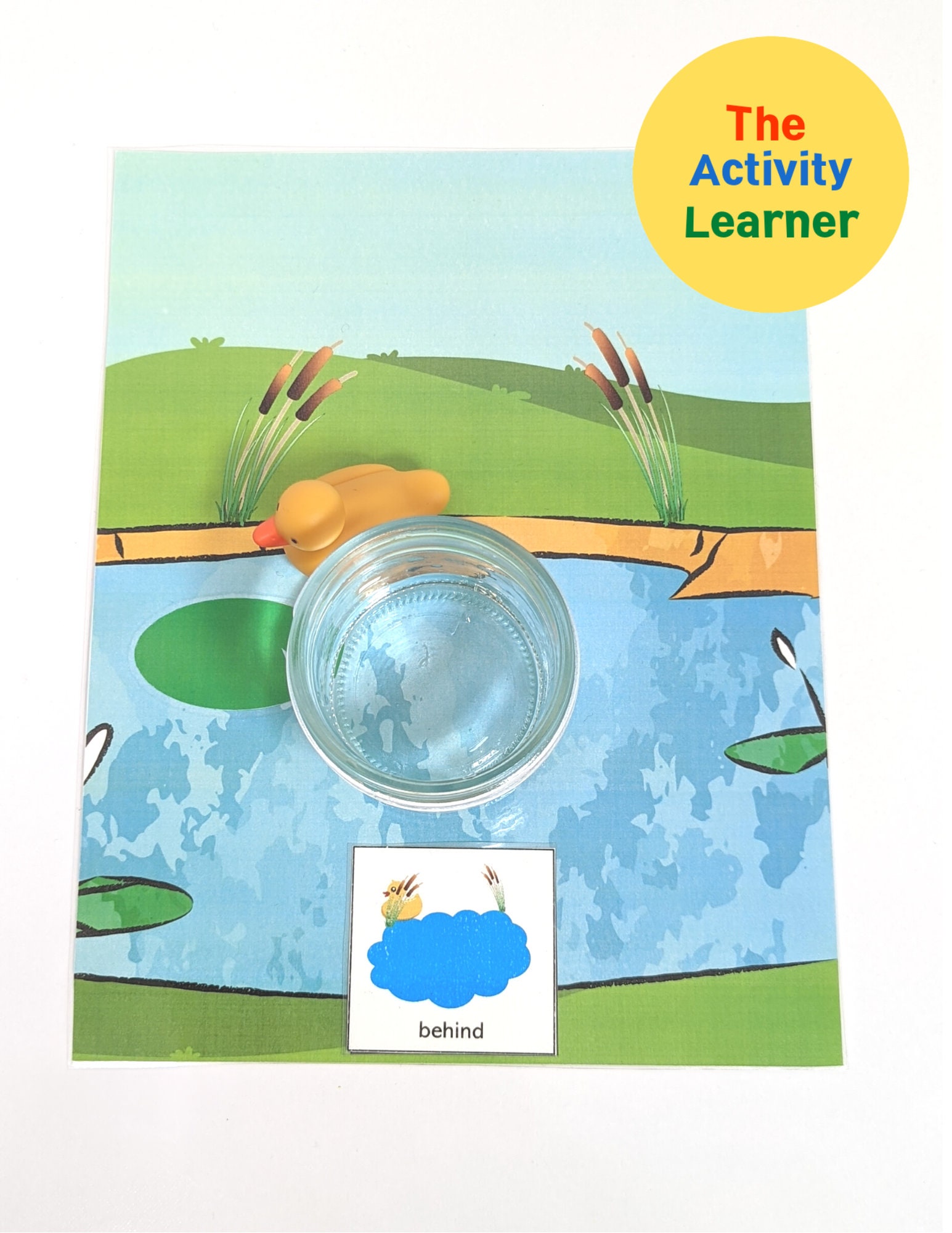 Duck & Pond Positional Words Activity PDF File - Etsy