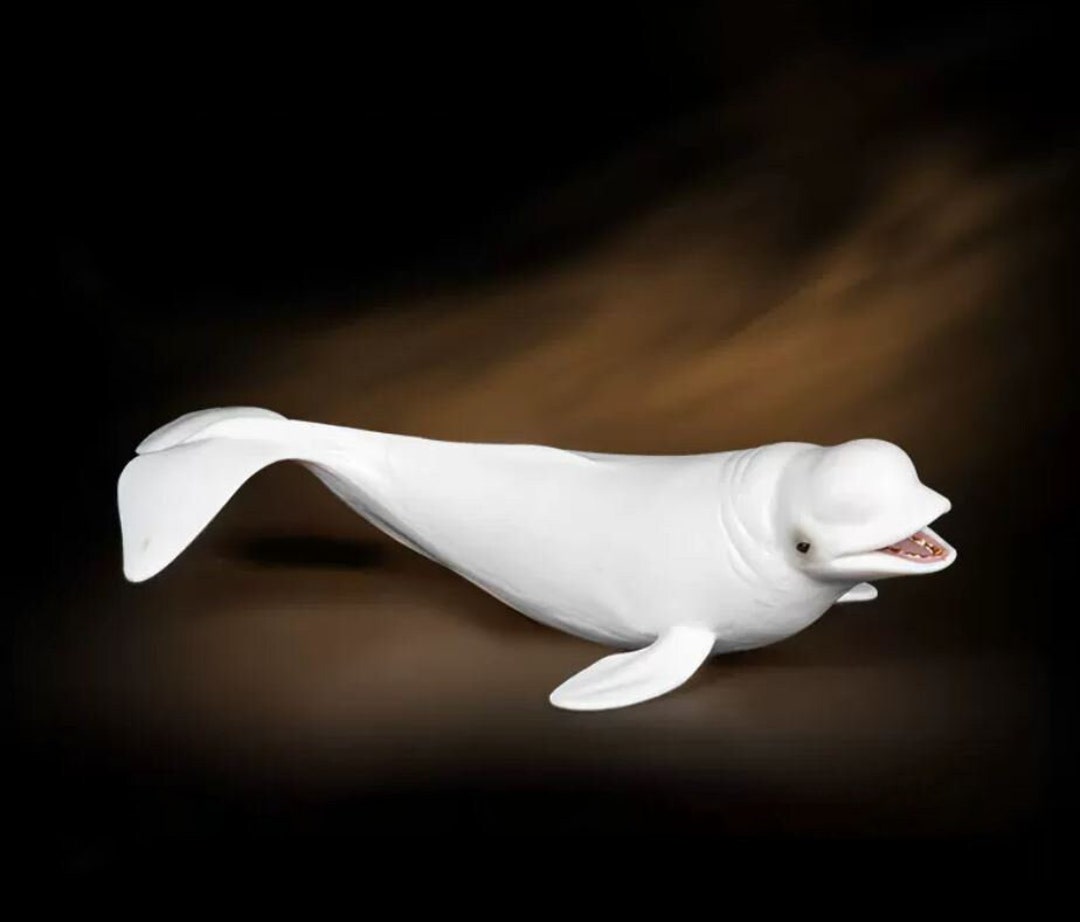 Realistic Beluga Whale Figure Marine Toy Figurine Animal - Etsy