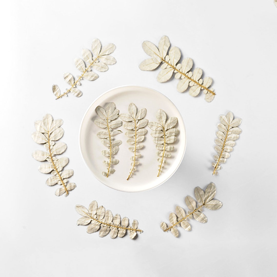 Dried Pressed Leaves Embossed Botanical Specimens Dried Leaves Handmade ...