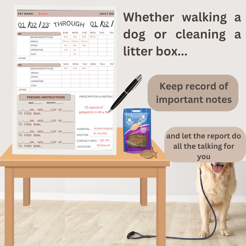 Pet Sitting Planner & Guide|pet Sitting Report Bundle| Dog Walking ...