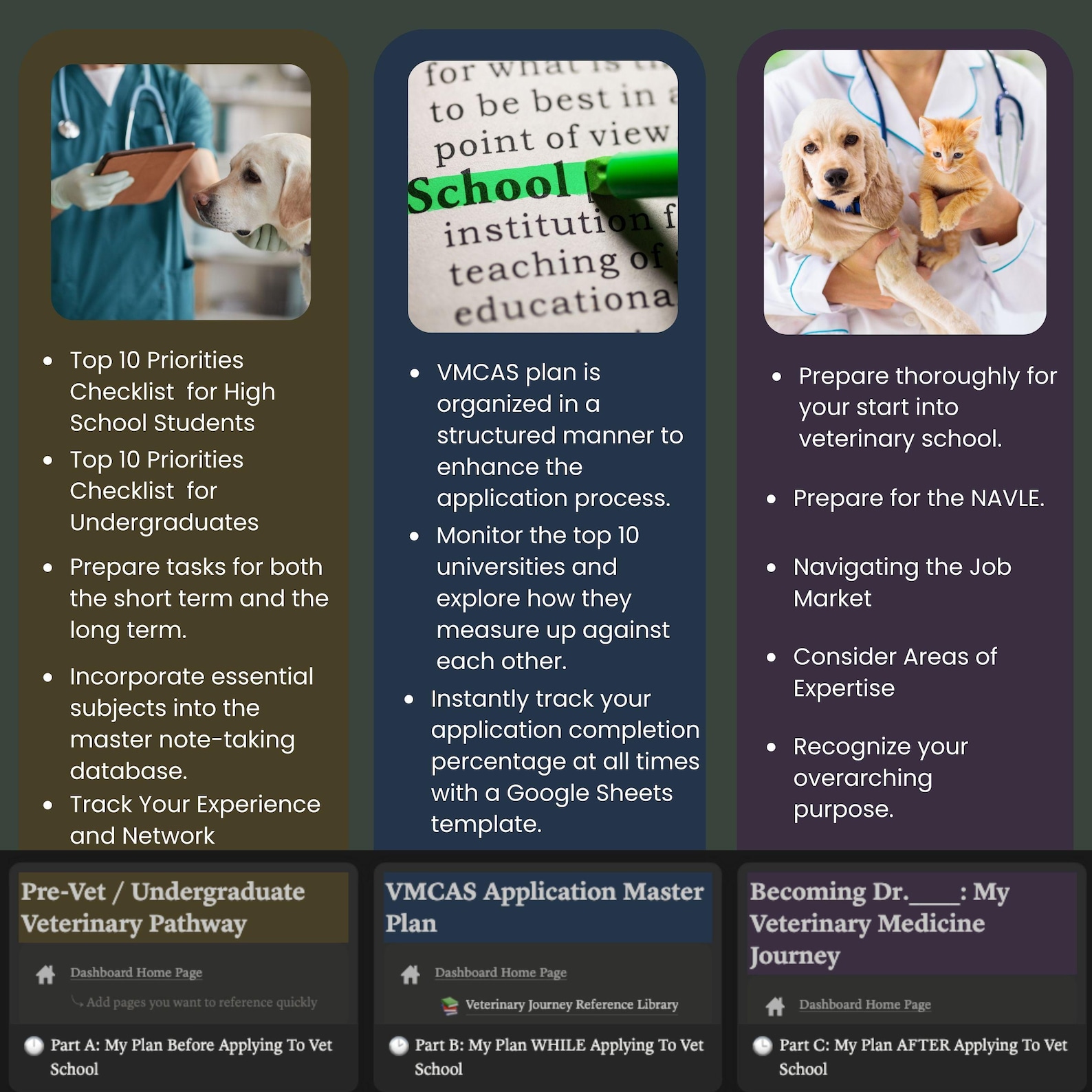 Veterinary Career Planning Dashboard — Notion Template for Pre-vets ...