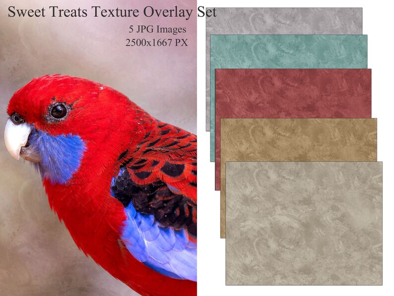 5 Color Fine Art Textures - Color Fine Art Texture Overlays - Fine Are ...