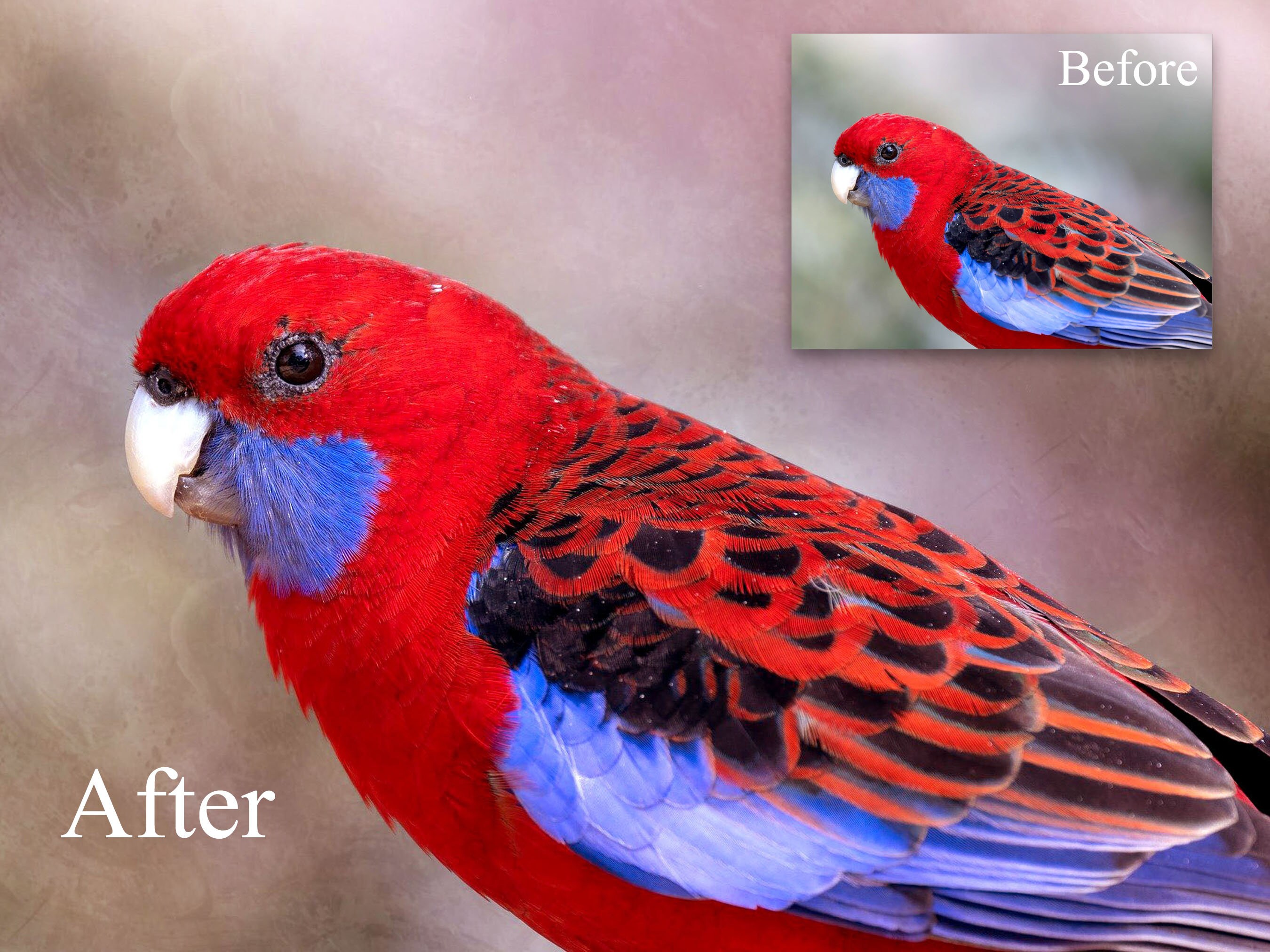 5 Color Fine Art Textures - Color Fine Art Texture Overlays - Fine Are ...