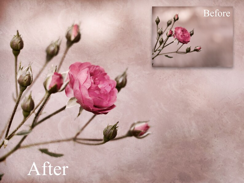 5 Color Fine Art Textures - Color Fine Art Texture Overlays - Fine Are ...