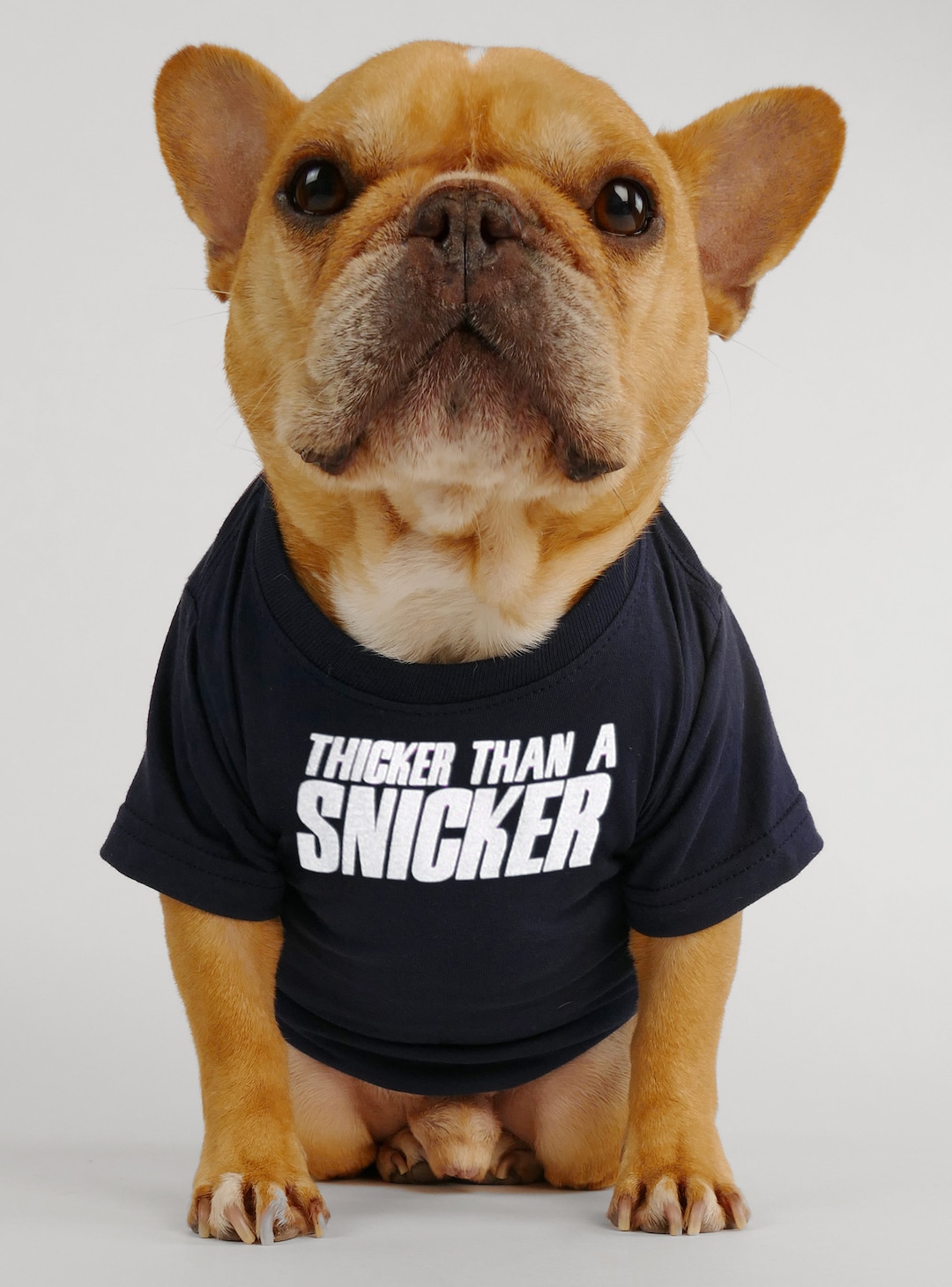 Thicker Than A Snicker Dog Tee - Favorite Funny Gift Dad Mom Frenchie ...