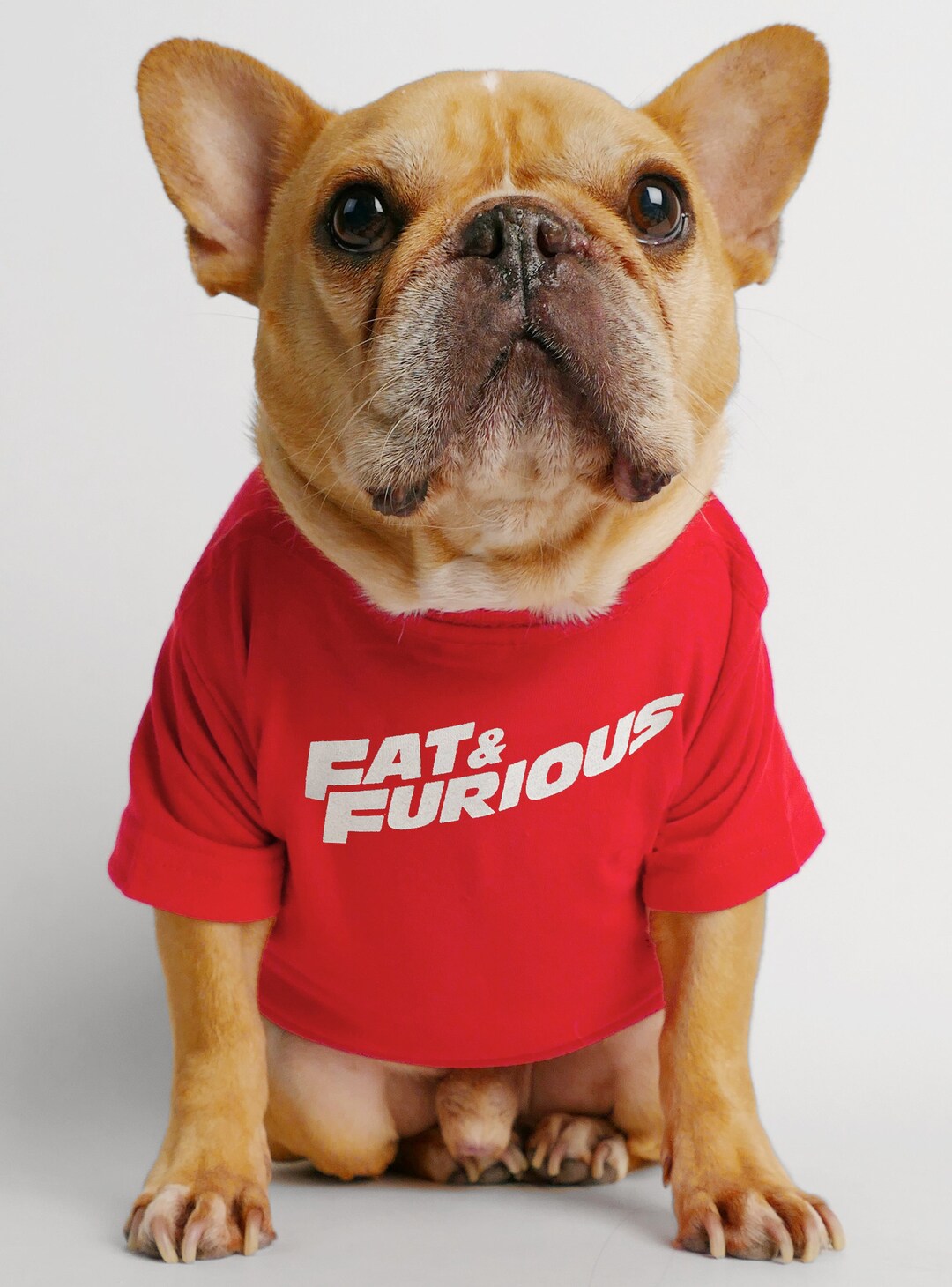 Fat and the Furious Dog Mom Dad Fast Frenchie French Bulldog Pet Dog ...