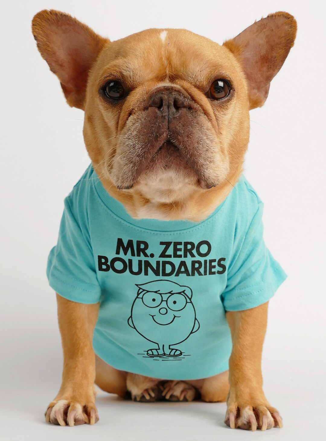 Mr. Zero Boundaries Little Miss Dog Tee Favorite Funny Gift - Etsy