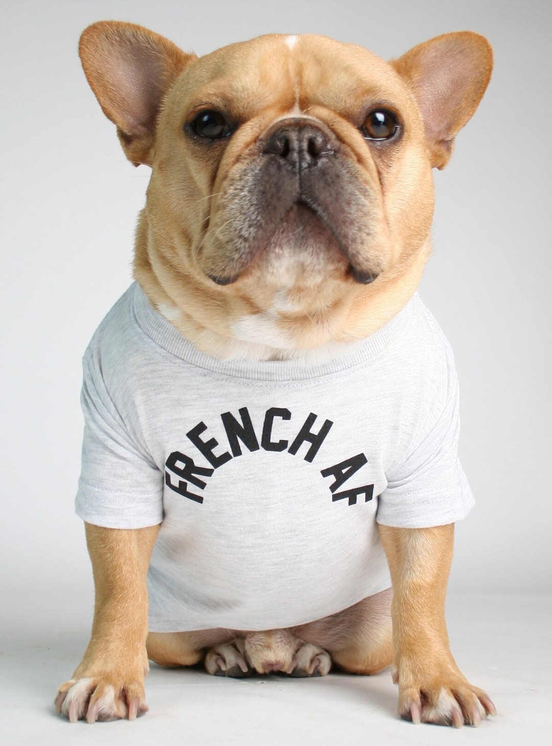 French AF Dog Tee - Favorite Funny Gift Dad Mom Frenchie French Bulldog ...