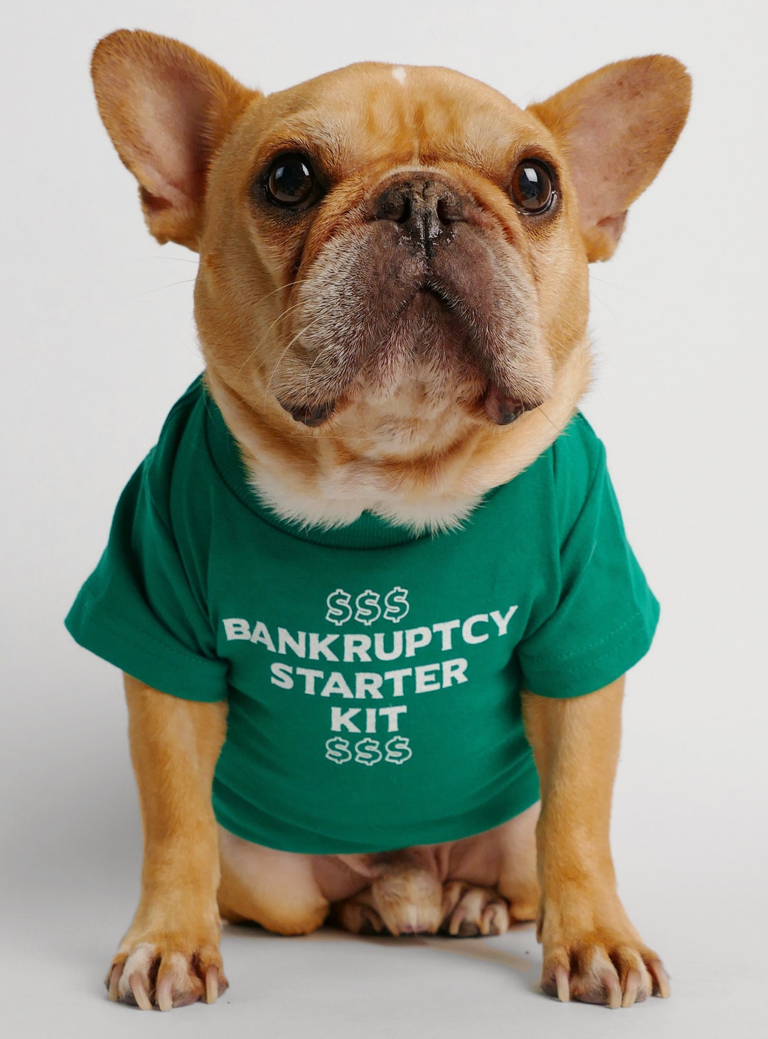 Bankruptcy Starter Kit Dog Mom Dad Favorite Gift Little Miss Frenchie ...