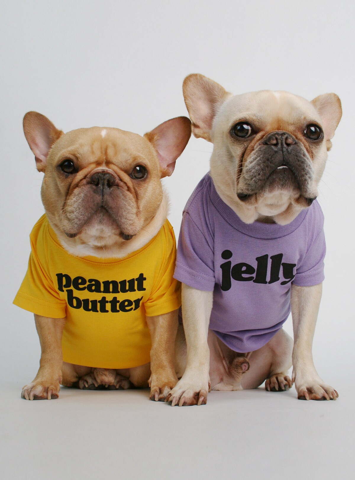Peanut Butter Jelly Dog Tee Shirt Costume Adorable Fashions Mom Dad ...