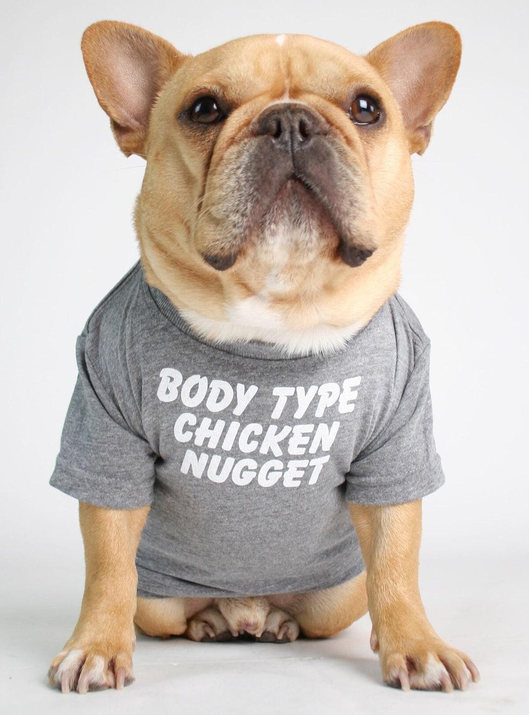 Body Type Chicken Nugget Dog Tee - Favorite Funny Gift Dad Mom Frenchie ...