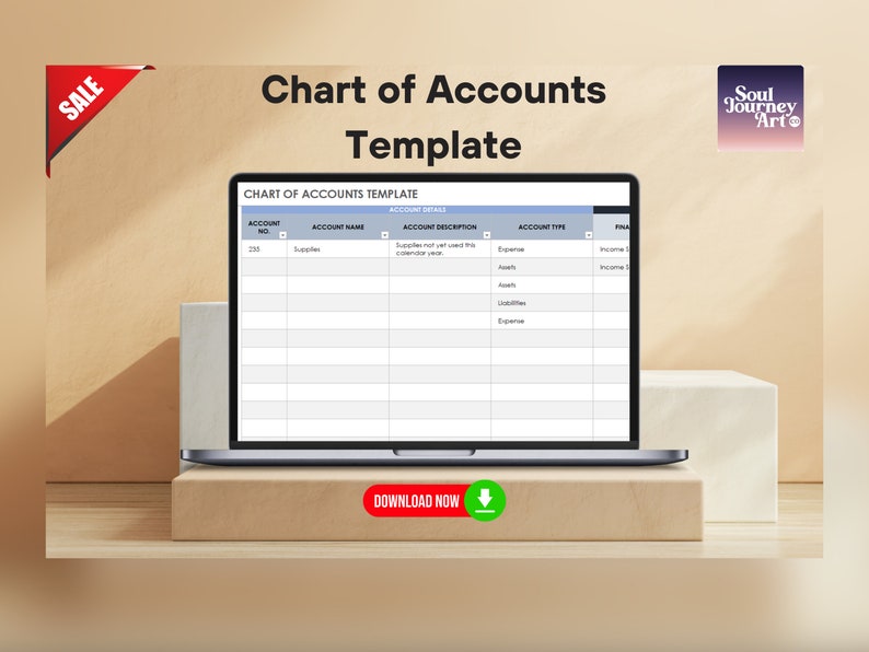 Chart of Accounts Digital Download Compatible With Google Sheets/excel ...