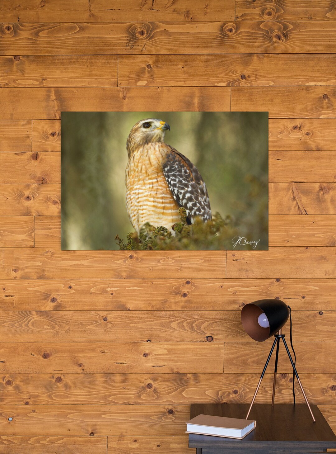 Red-shouldered Hawk Canvas Gift for Bedroom / Living Room and Home ...