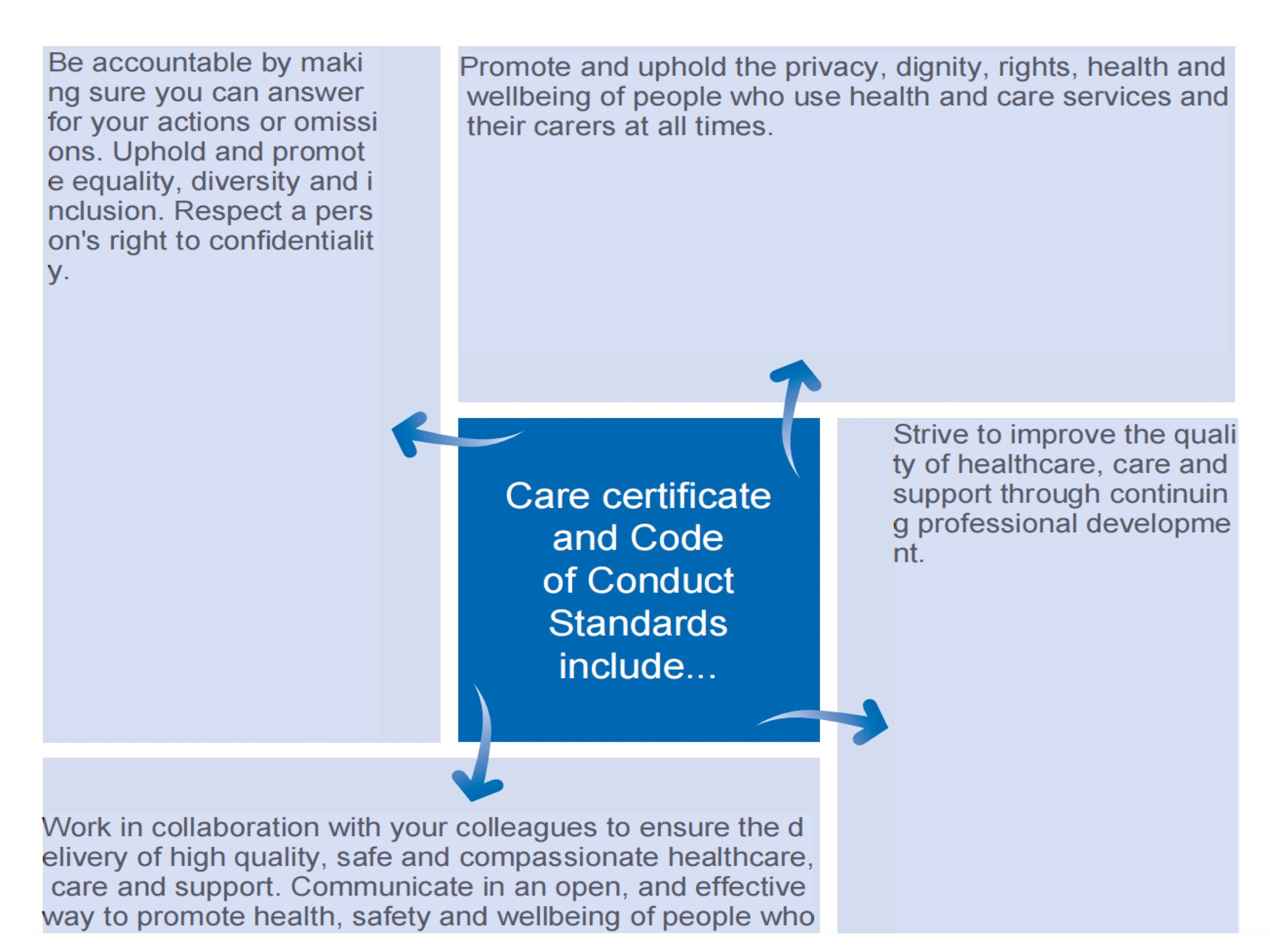 Care Certificate And Code Of Conduct Standards Diagram