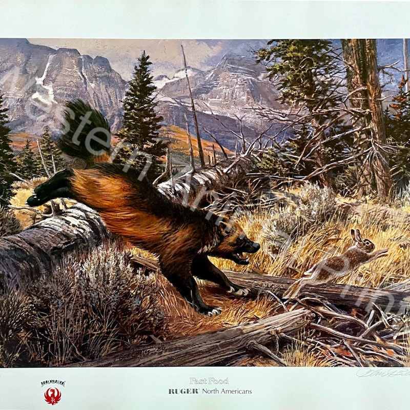 Wolverine Animal Art - Etsy