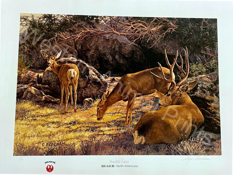 Buck’s Lair by Greg Beecham – Deer / Buck – Wall Art – Signed ...