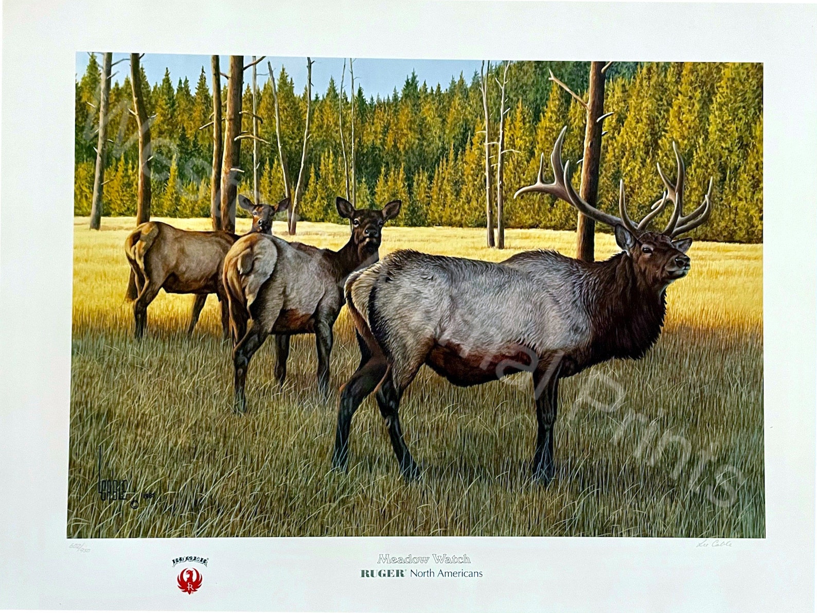Meadow Watch by Lee Cable – Group of Wild Caribou in Meadow – Wall Art ...