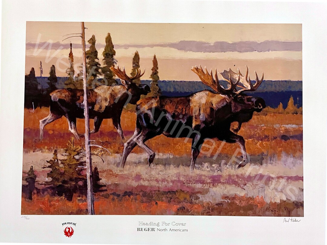 Heading for Cover by Bob Kuhn – Pair of Moose in the Wild – Wall Art ...