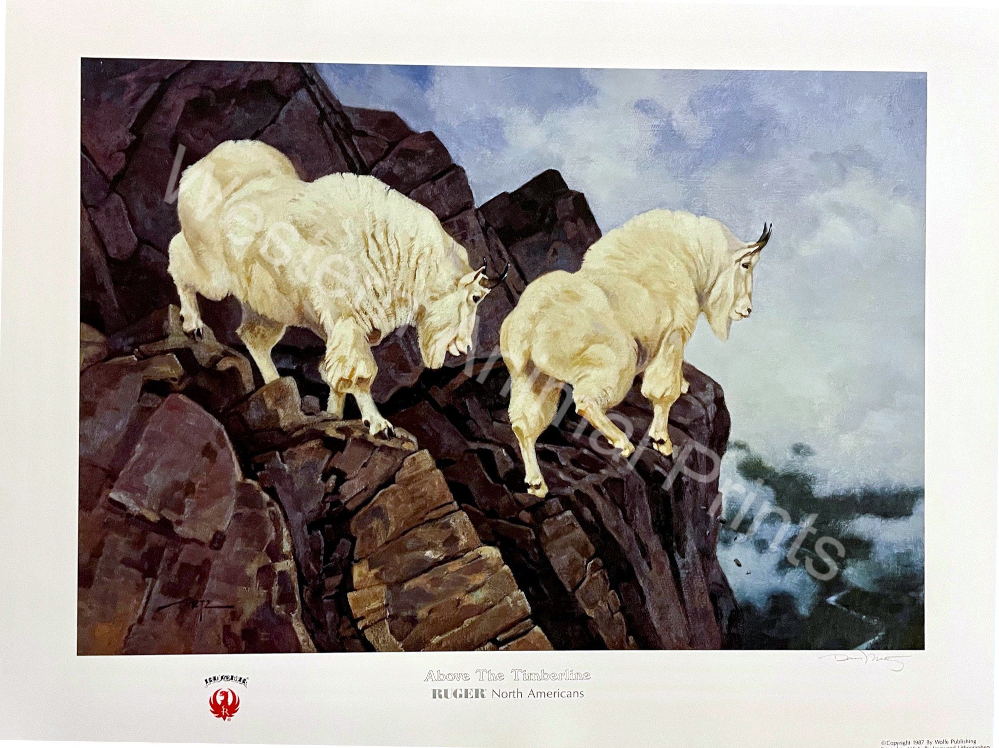 Above the Timberline – Rocky Mountain Goats – Lithography Wall Art ...