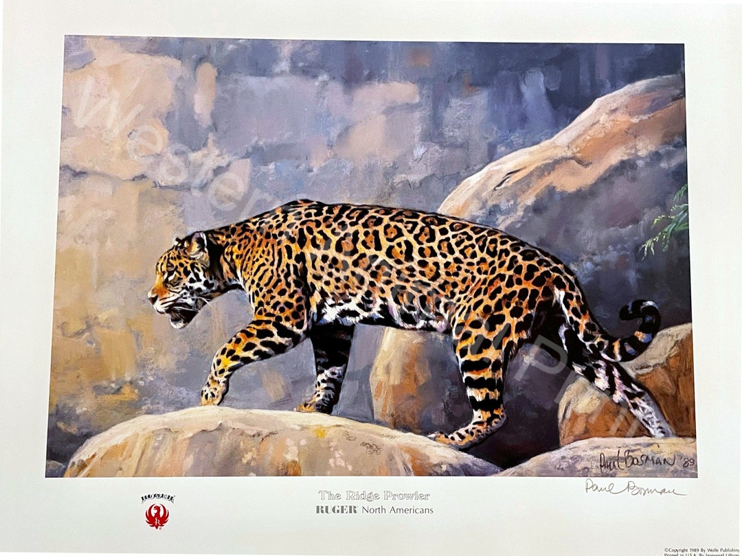 Ridge Prowler by Paul Bosman – Leopard / Cheetah Stalking on Mountain ...
