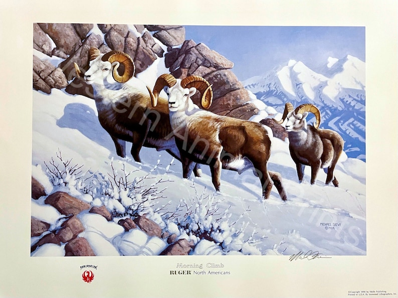 Morning Climb by Michael Sieve – Big Horn Sheep on Cold Snowy ...