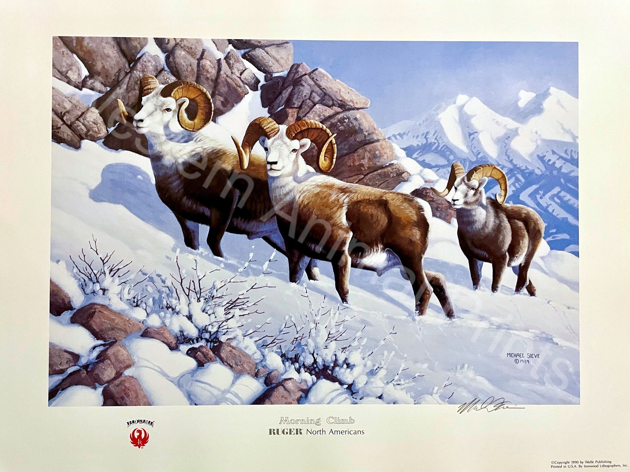 Morning Climb by Michael Sieve – Big Horn Sheep on Cold Snowy Mountainside – Wall Art – Signed ...