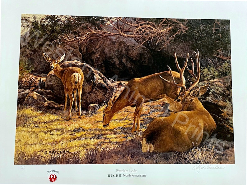 Ruger North Americas 21 - Full Collection of 21 Lithograph Prints ...