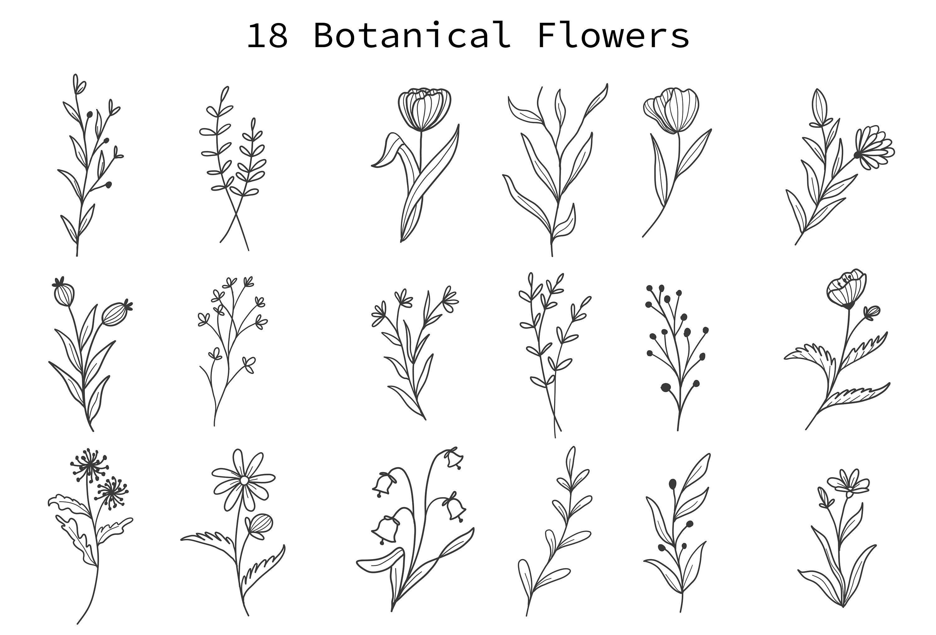 Botanical Flower SVG Bundle: Hand-drawn Wildflower Clipart - Etsy