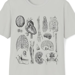 Anatomy Human Bones Shirt, Gift for Medical Students, Doctors Nurses ...