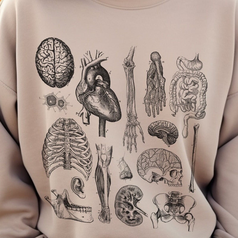 Knit Anatomy - Etsy