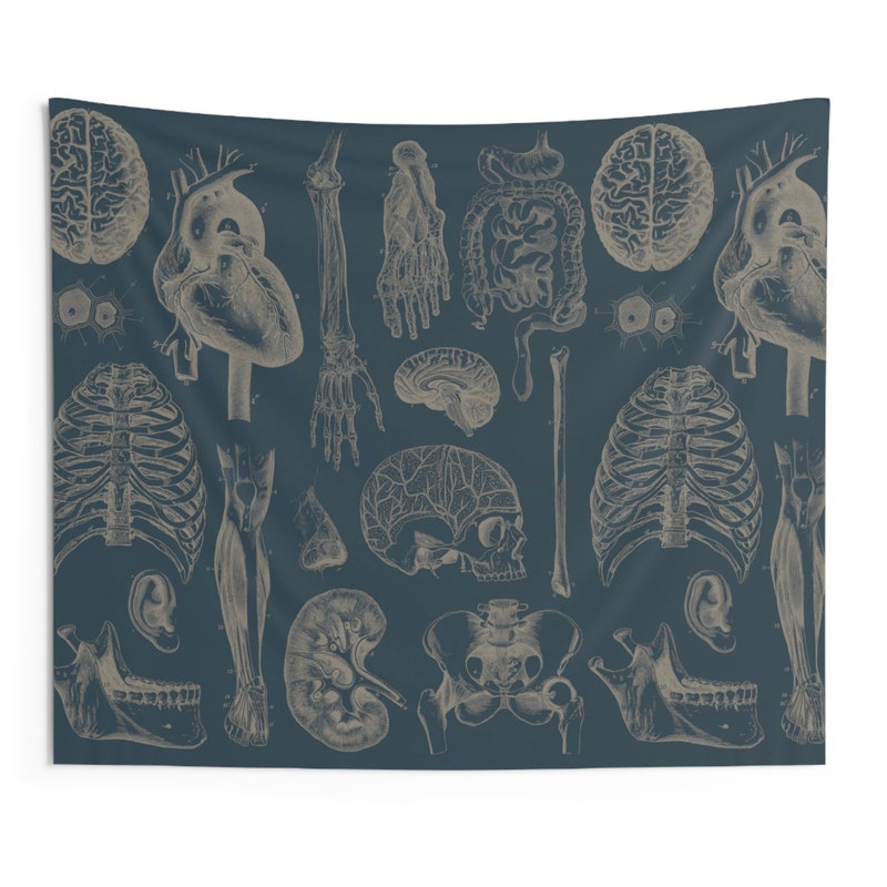 Medical Wall Decor - Etsy