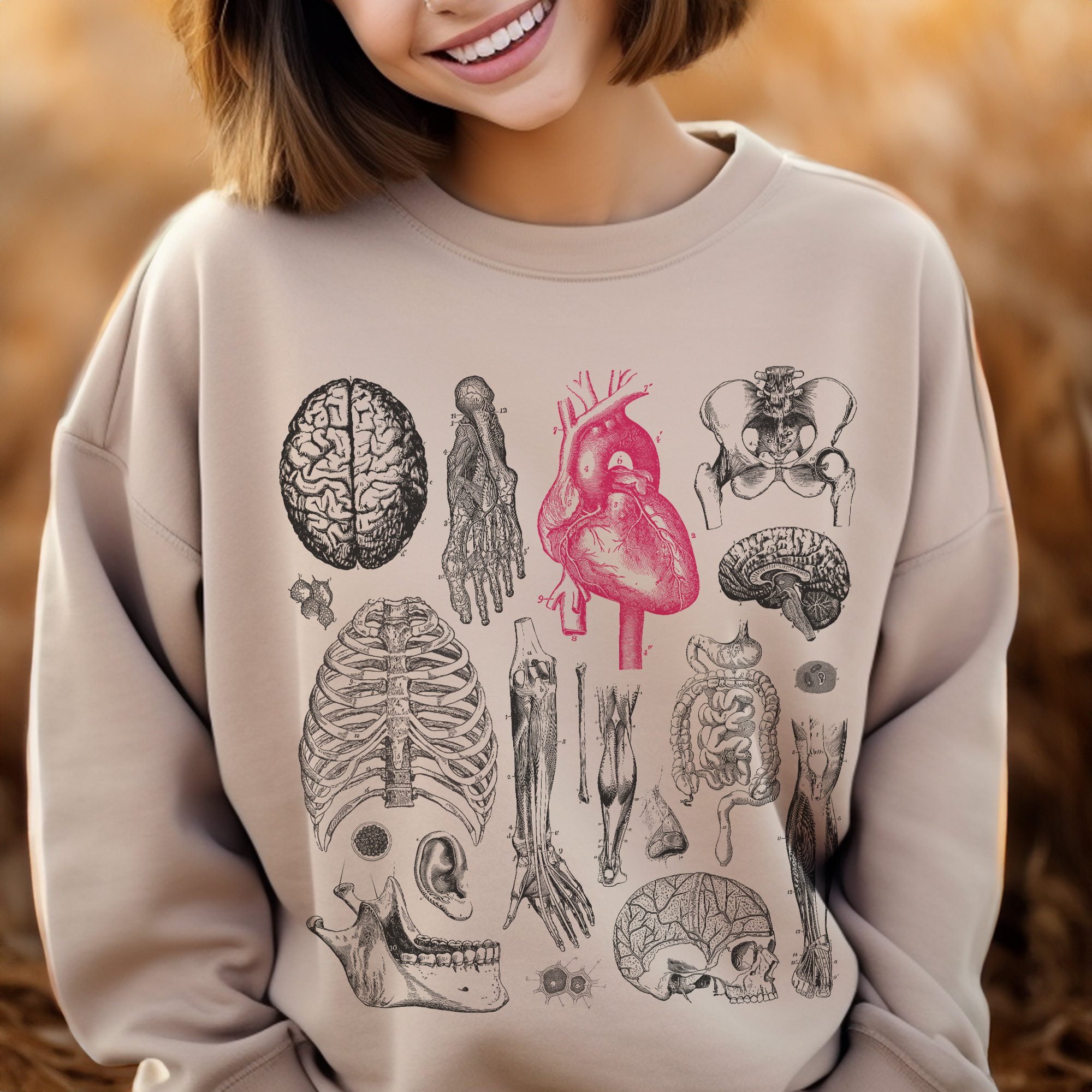 Heart Anatomy Sweatshirt, Human Bones Anatomical Art, Science Gifts for ...