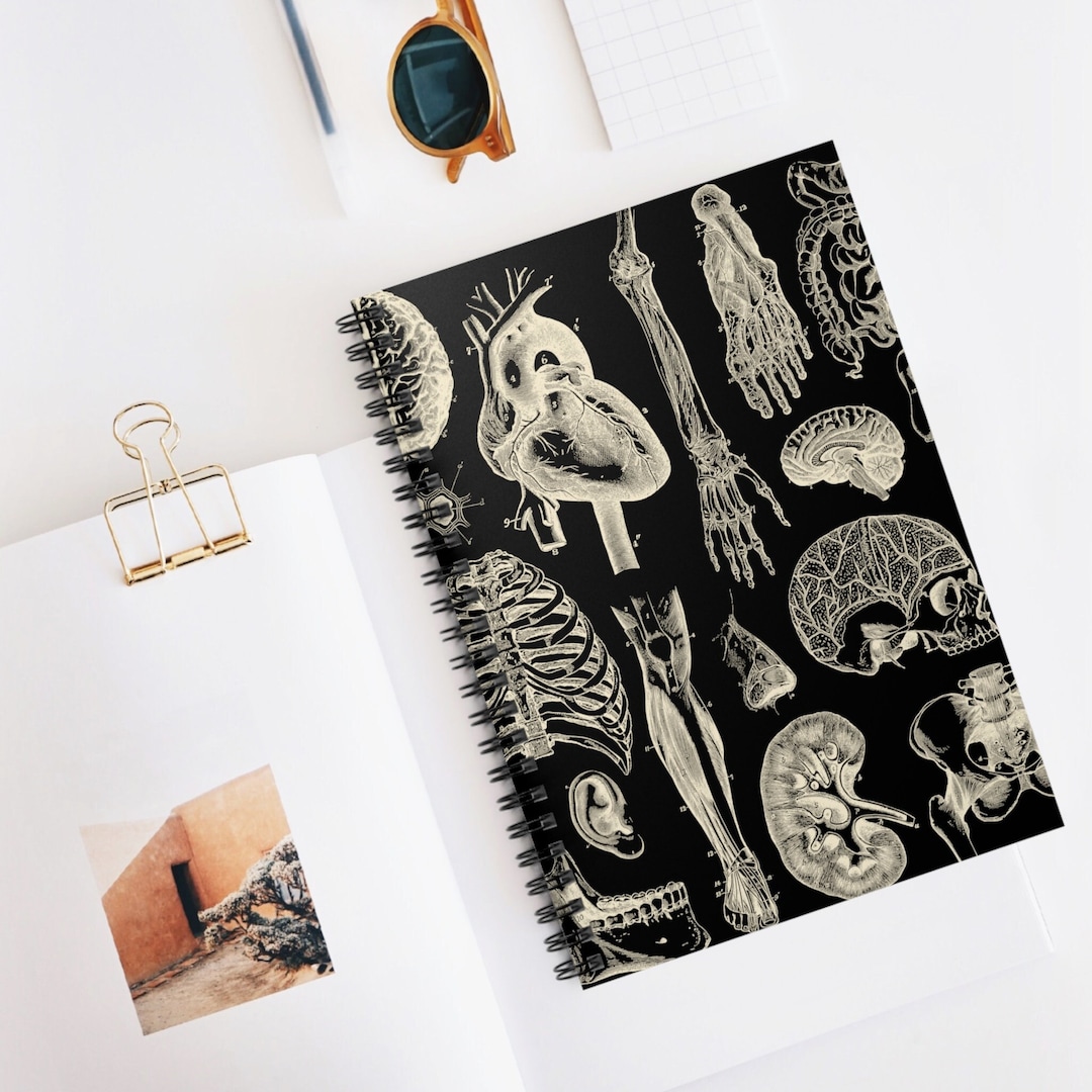 Dorm Gift Journal, Anatomy Human Body, Science Vintage Bones ...