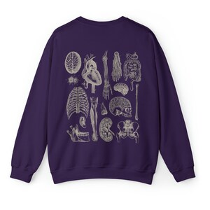 Anatomy Bones Sweatshirt for Med Students - Anatomical Art Sweater ...