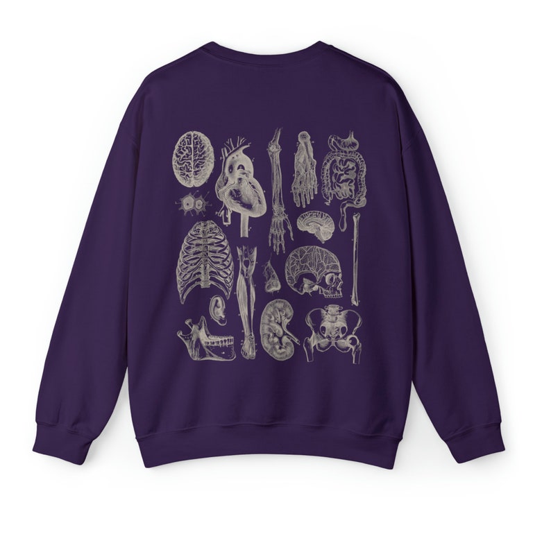 Anatomy Bones Sweatshirt for Med Students - Anatomical Art Sweater ...