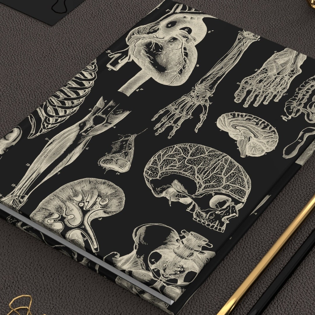 Anatomy Bones Journal, Medical Notebook Human Body Med Gift for ...