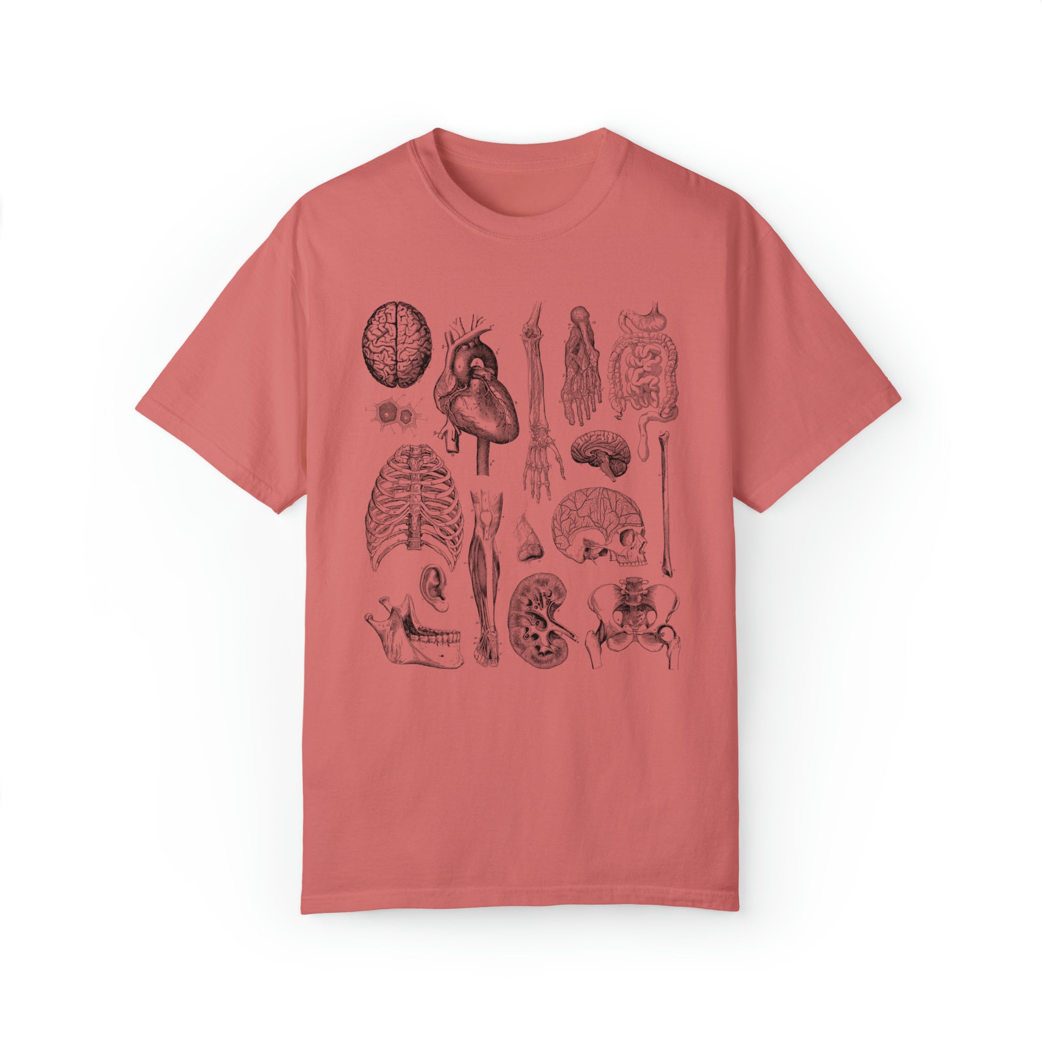 Anatomy Bones Shirt, Medical Human Body Illustration Tee, Gift for ...