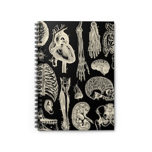 Dorm Gift Journal, Anatomy Human Body, Science Vintage Bones ...