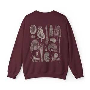 Anatomy Bones Sweatshirt for Med Students - Anatomical Art Sweater ...