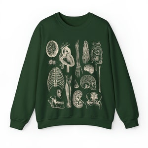 Anatomy Bones Sweatshirt for Med Students - Anatomical Art Sweater ...