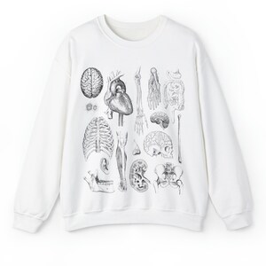 Medical Anatomy Sweater, Human Body Sweatshirt, Bones Heart, Anatomical ...