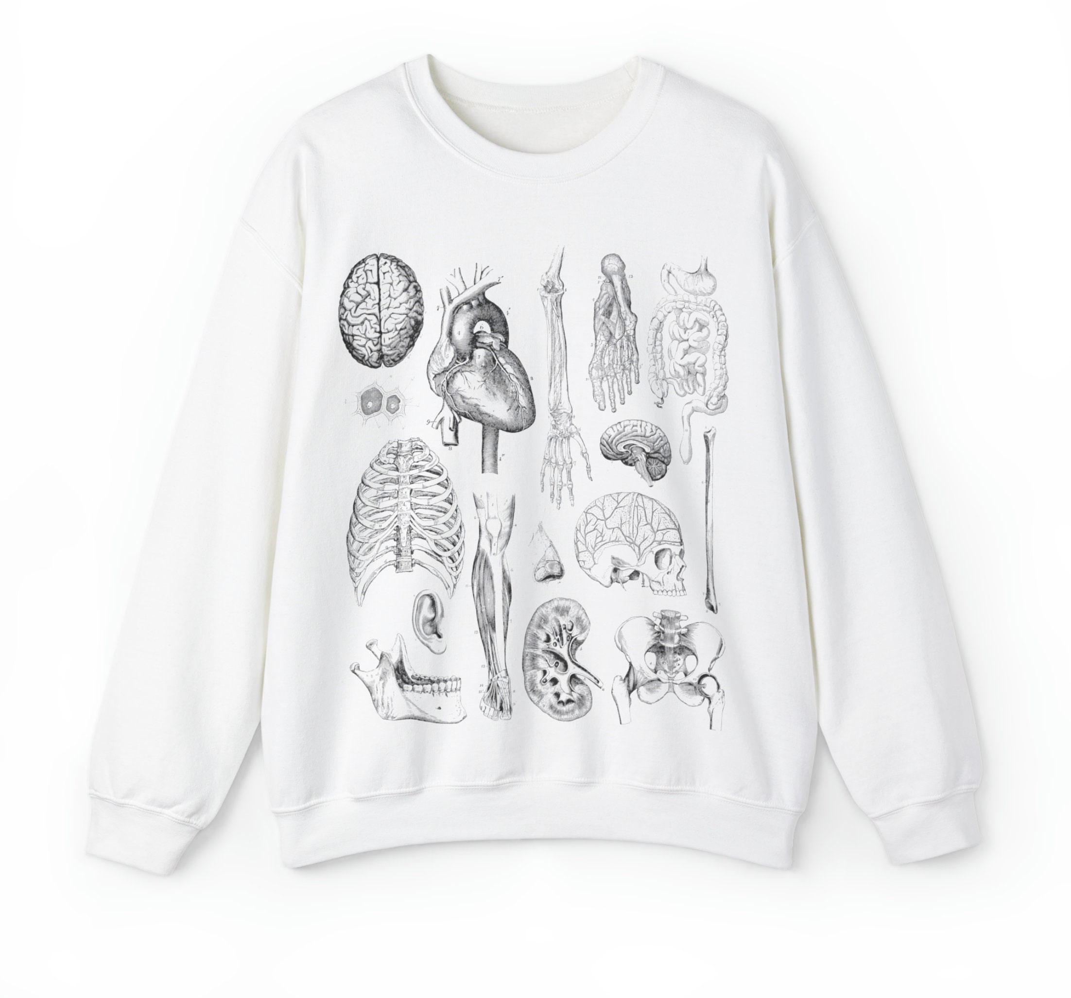 Medical Illustration Sweater, Anatomy Vintage Sweatshirt, Anatomical ...