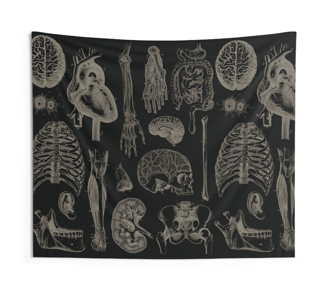 Anatomy Human Bones Tapestry, Wall Decor Hanging Art, Dorm Room Medical ...