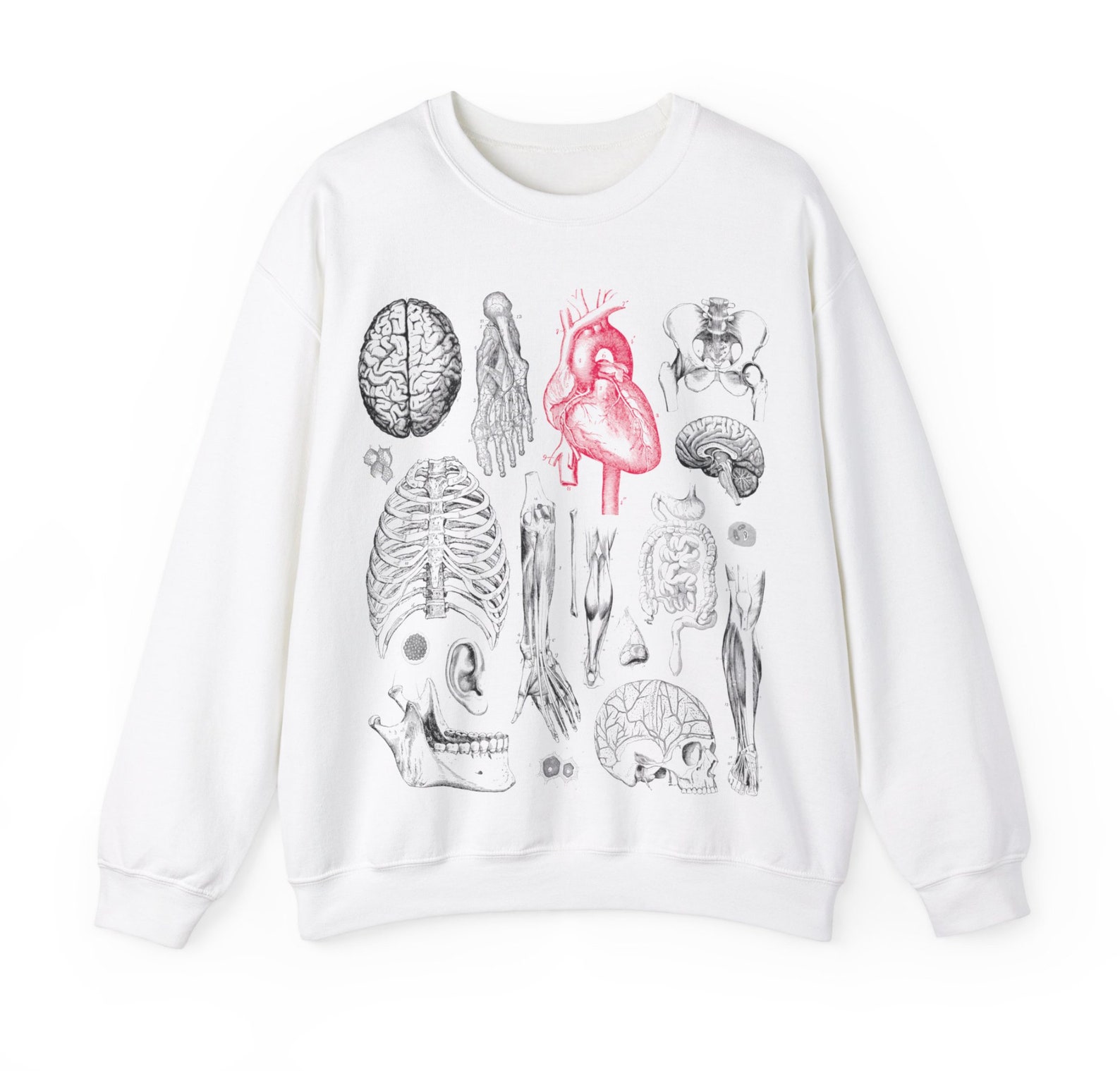Heart Anatomy Sweatshirt, Human Bones Anatomical Art, Science Gifts for ...