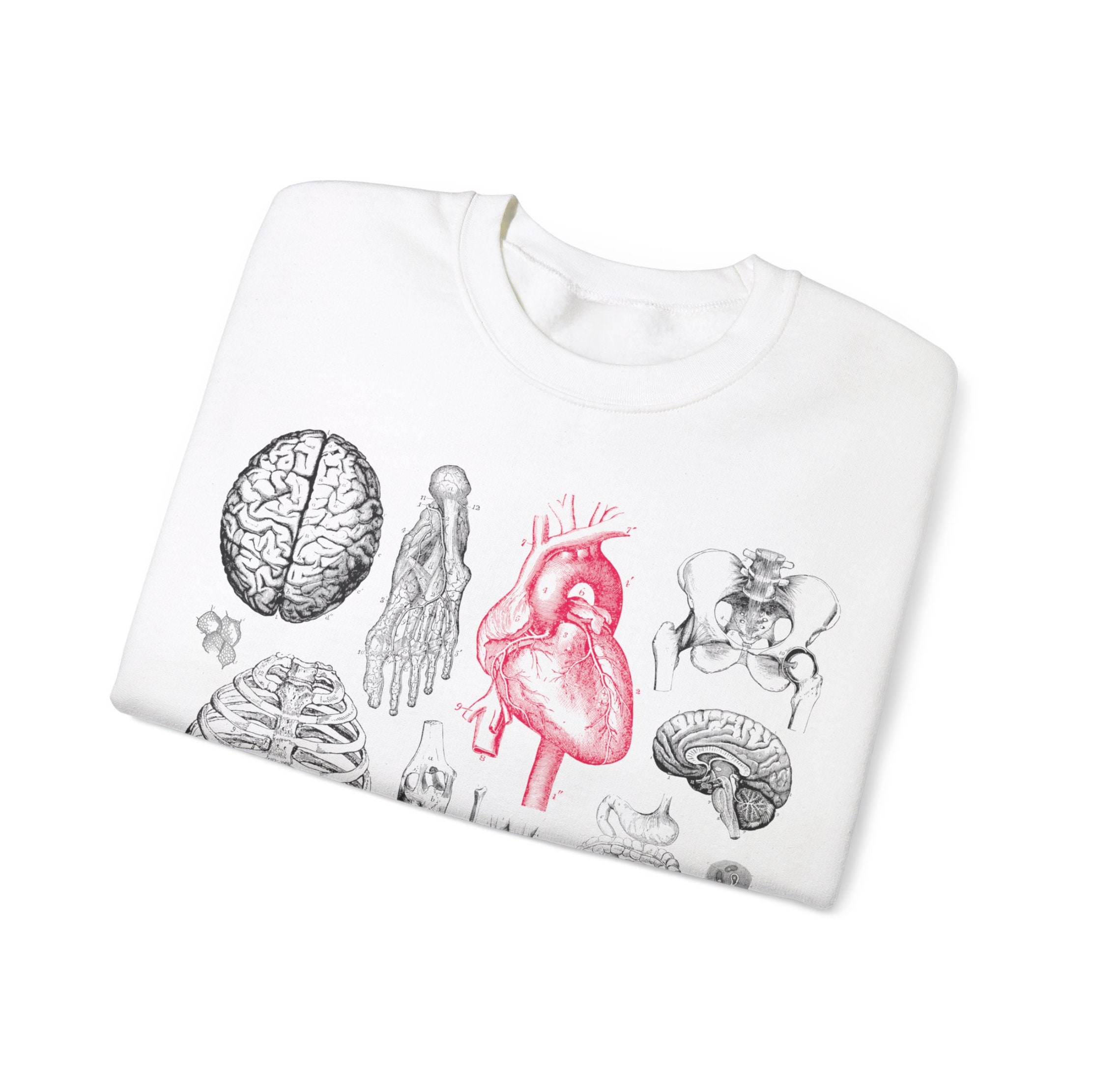 Heart Anatomy Sweatshirt, Human Bones Anatomical Art, Science Gifts for ...