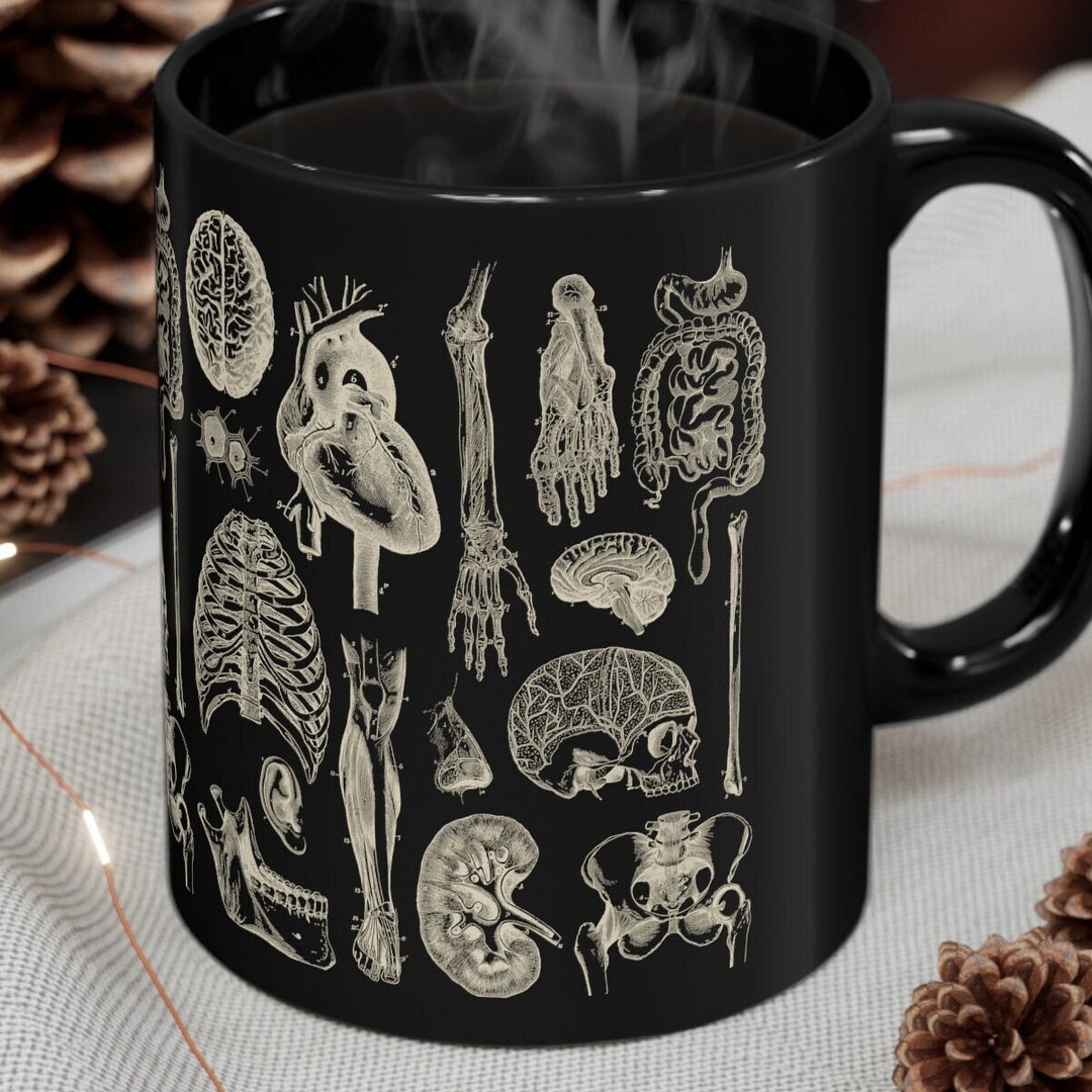 Human Body Bones Mug, Medical Illustration Gift, Science Style ...