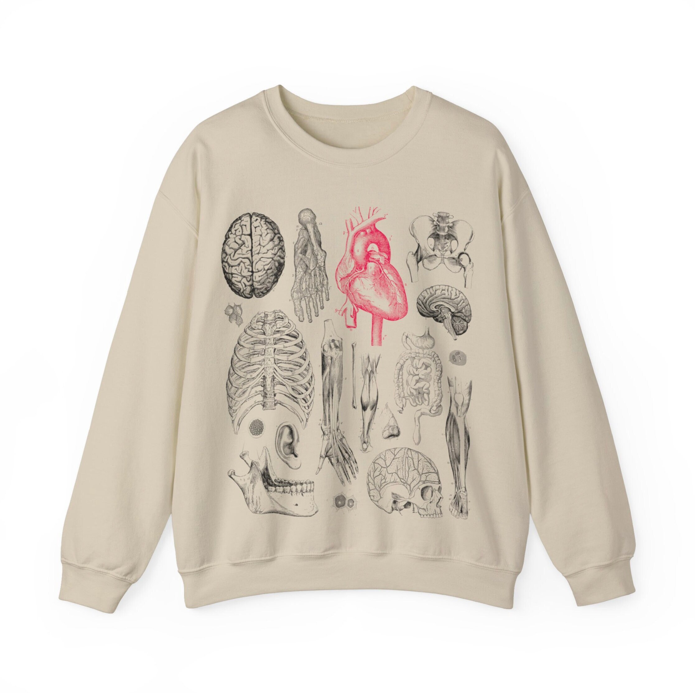 Heart Anatomy Sweatshirt, Human Bones Anatomical Art, Science Gifts for ...