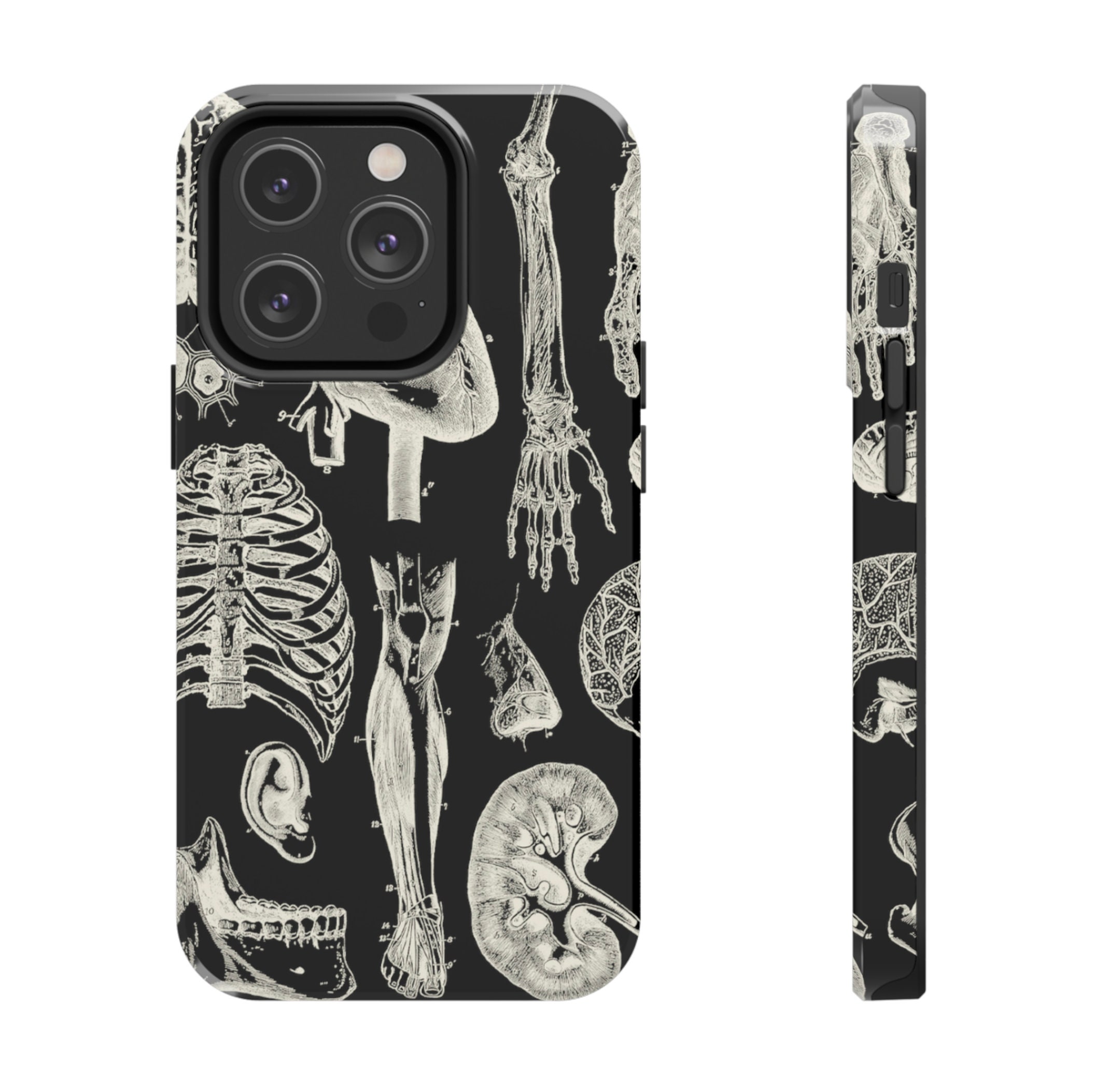 Anatomy Medical Case, Body Parts Bones, Gifts for Preceptors, Human ...