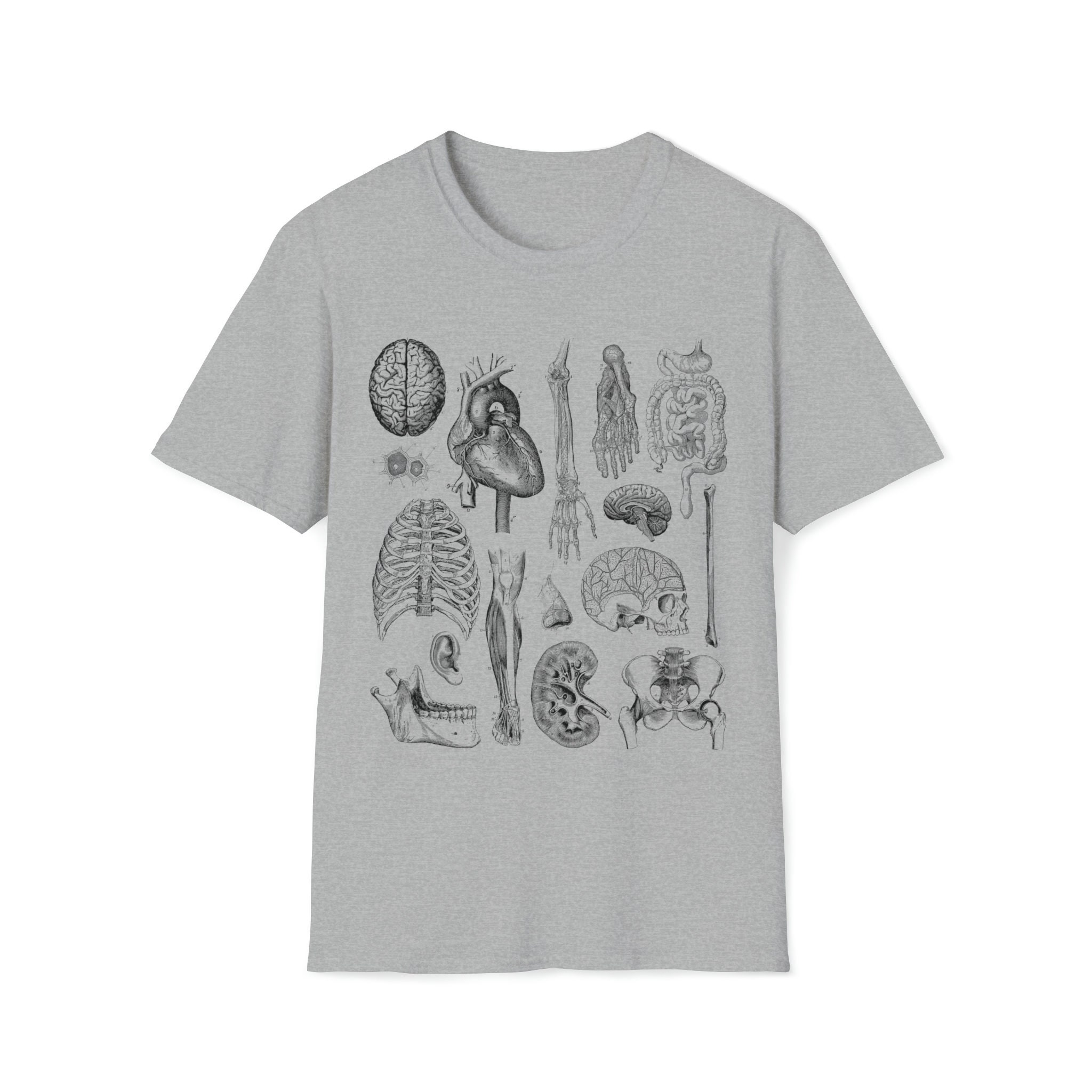 Vintage Anatomy T-shirt Gift for Medical Students Doctors - Etsy